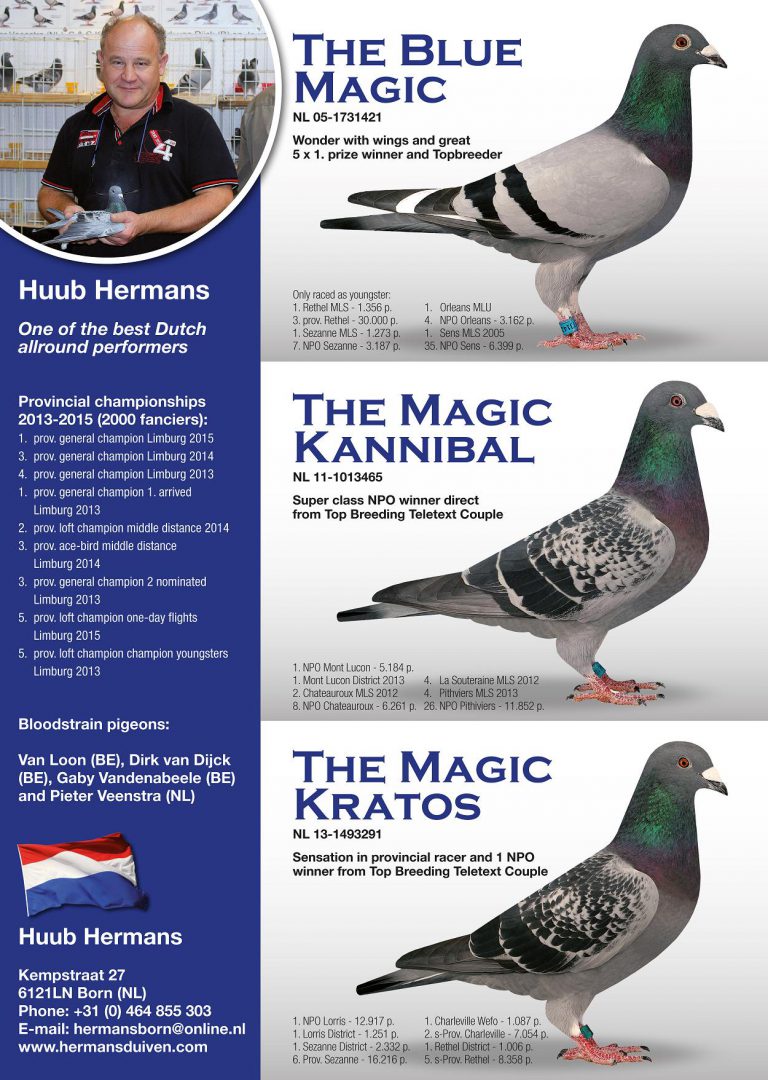 Huub Hermans - super season of 2021 - M&C Auctions