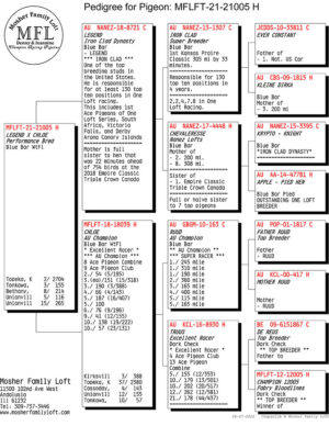 1. National by Mosher Family Loft!! - M&C Auctions