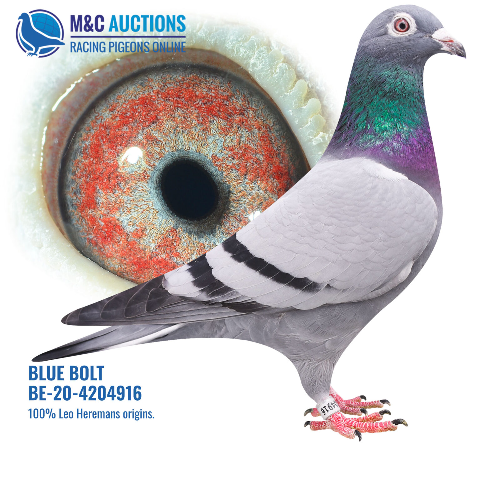 Topresult from Johs Markussen! - M&C Auctions