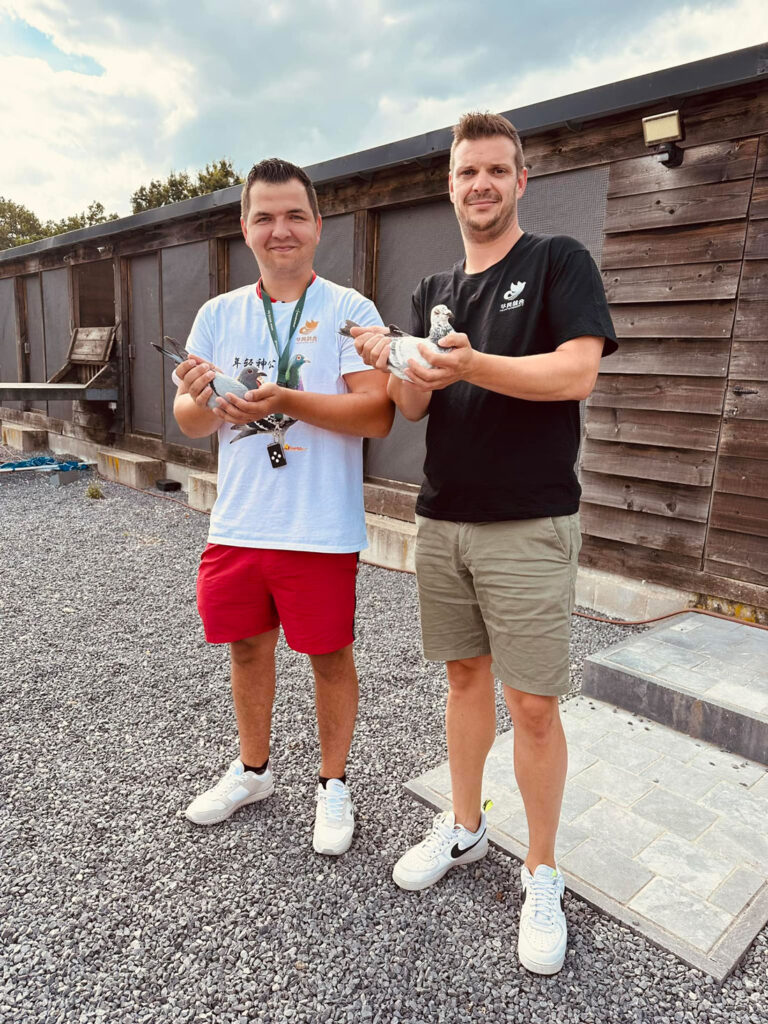 One Loft Racing by Team Ulrich Lemmens - M&C Auctions