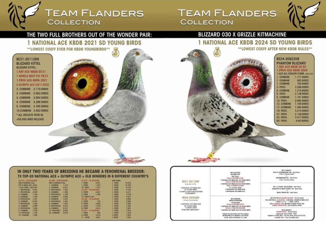 Flanders Collection - fantastic season 2024! - M&C Auctions