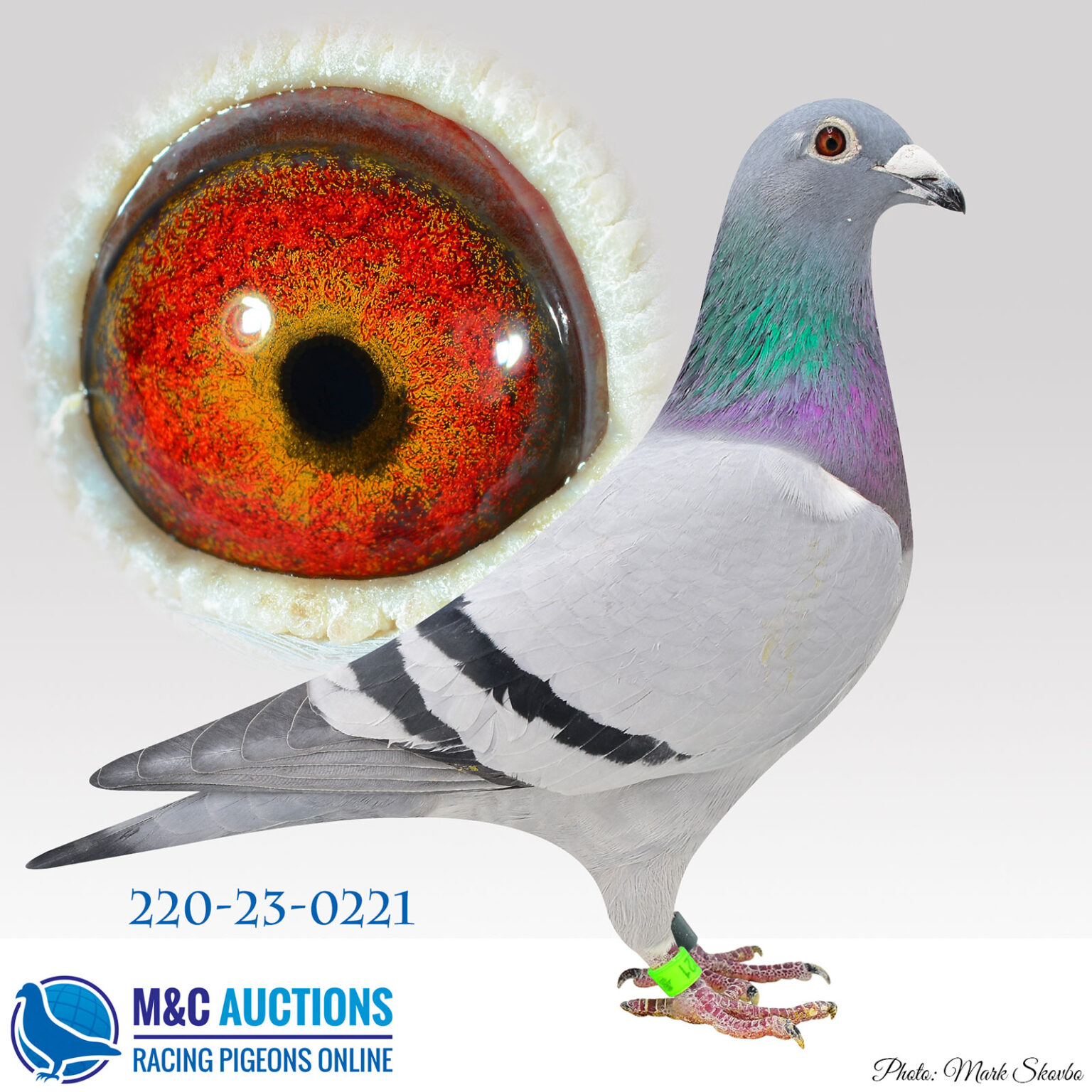 Kaj F. Andersen - M&C Auctions