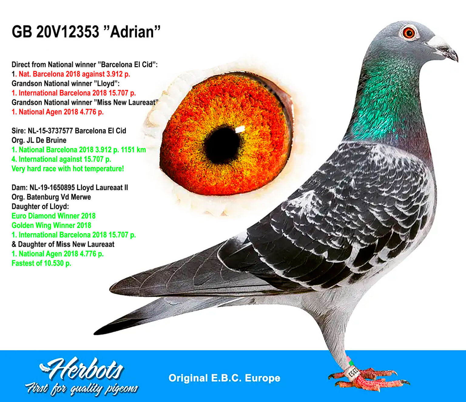 Lisbet & Kim Hansen - championloft! - M&C Auctions